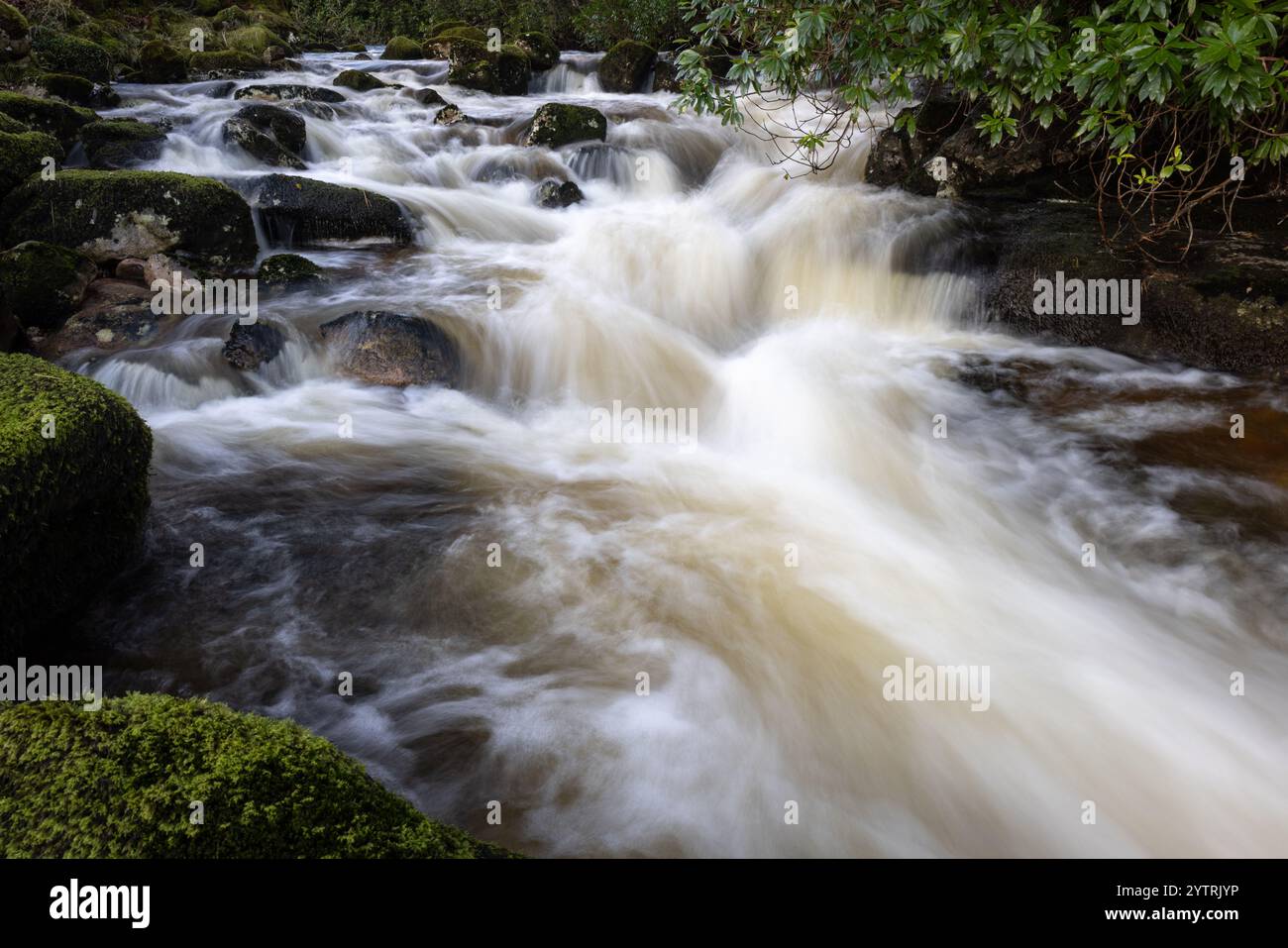 Small river in full flow after rain, River Avon, Devon, UK Stock Photo ...