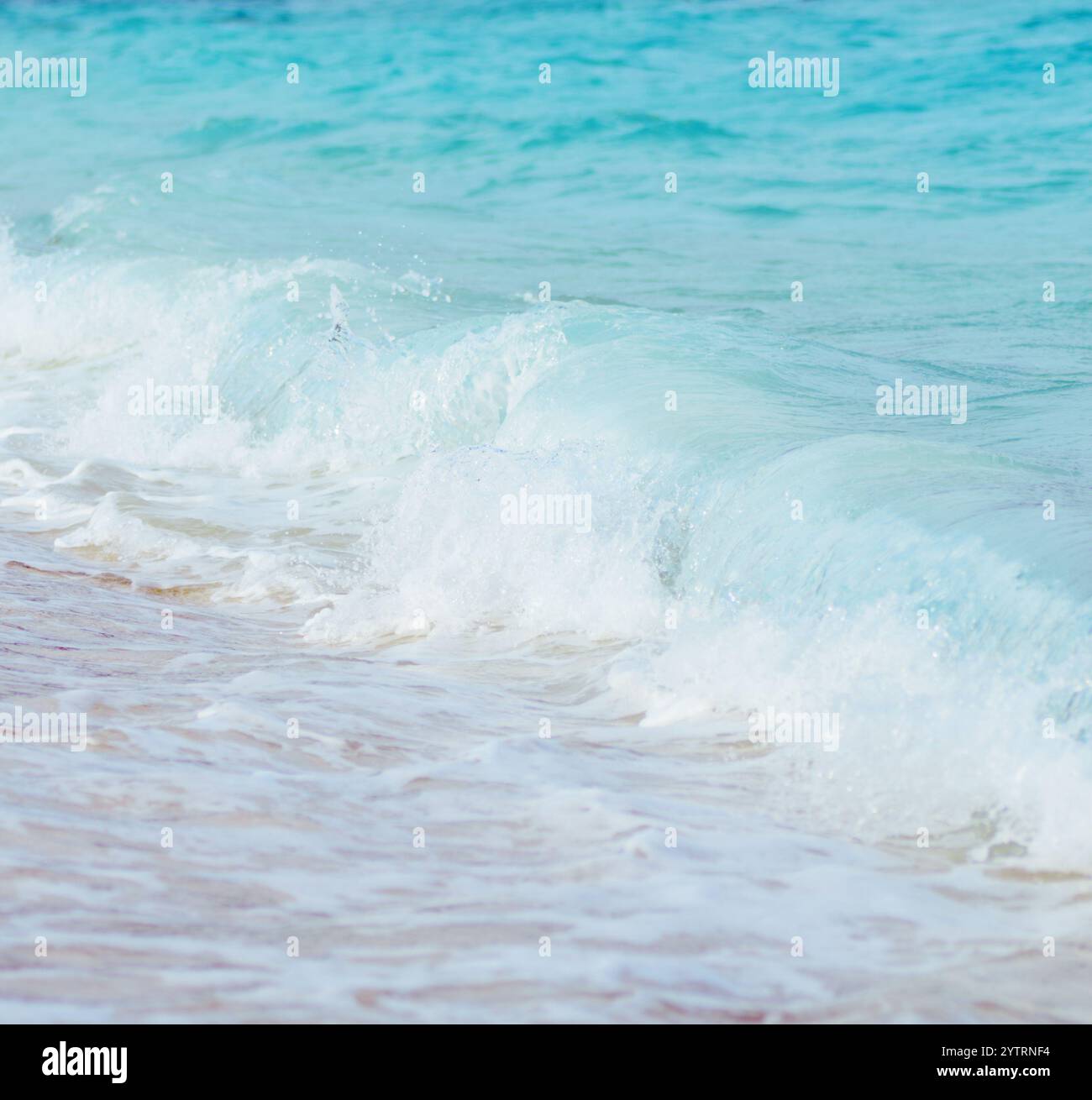 Surf sea wave clear hi-res stock photography and images - Alamy
