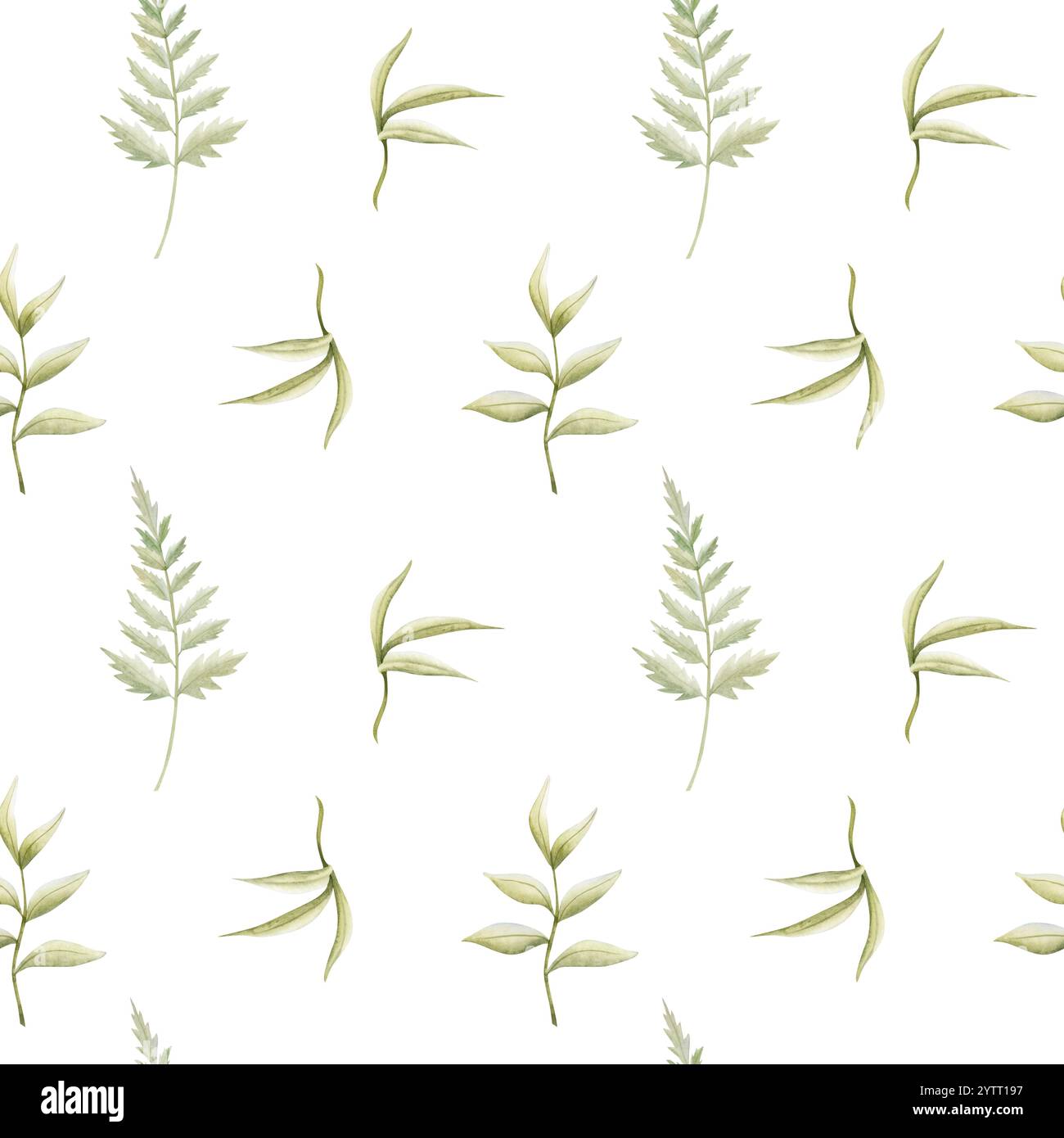 Watercolor fern leaves seamless pattern on white. Simple forest ...