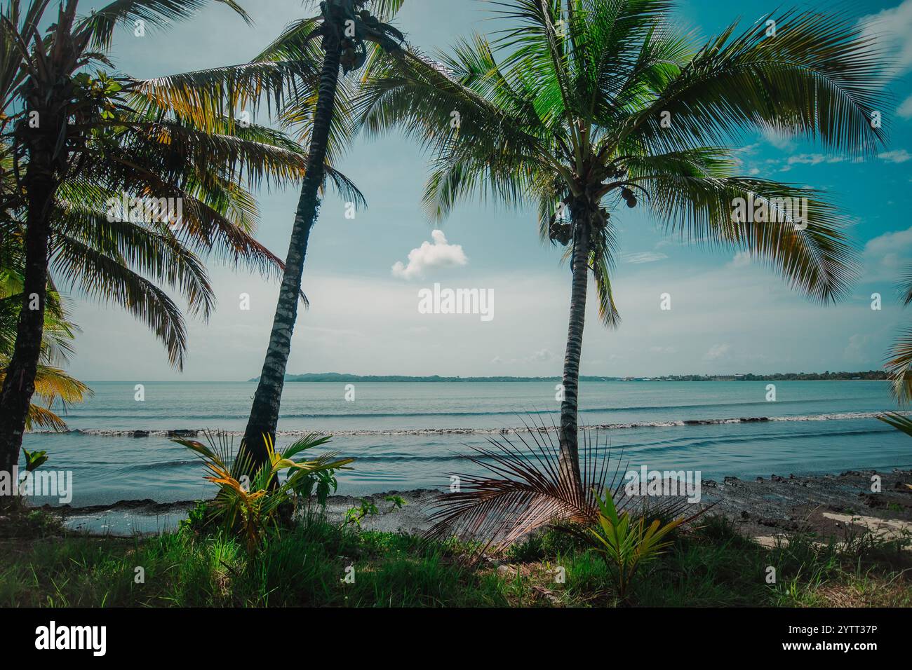 Beach at famous Bocas del Toro island archipelag. View of the coast ...