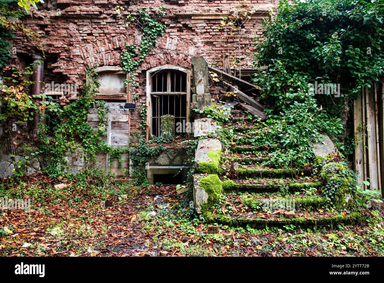 Crumbling brick wall and overgrown staircase of abandoned building ...