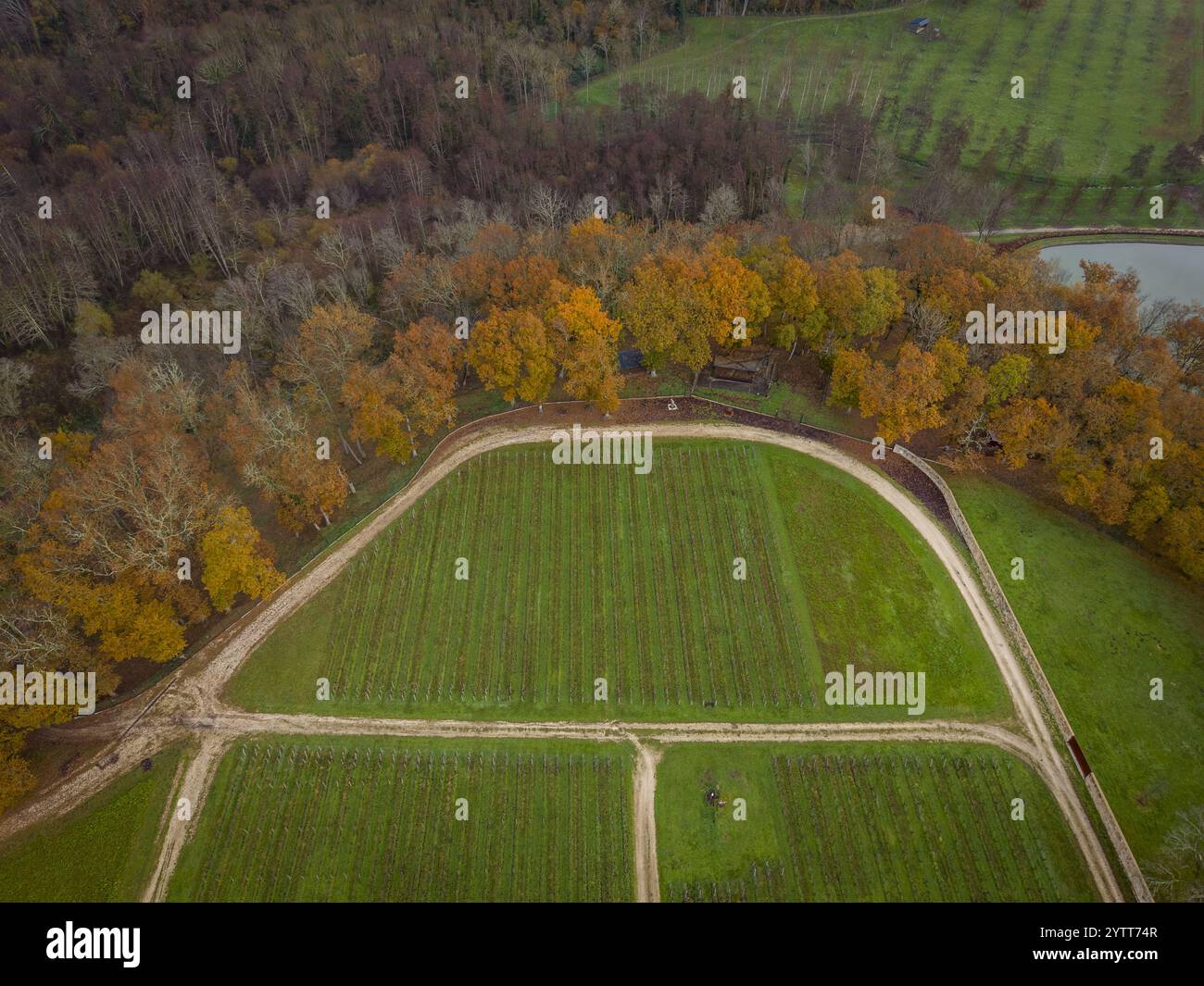 FRANCE, GIRONDE (33), SAINT-QUENTIN-DU-BARON, CHATEAU DE SOURS ...