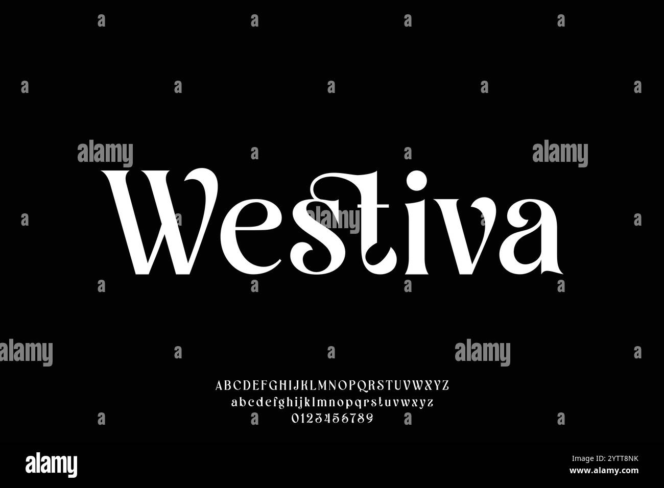 Beautiful elegant decorative serif alphabet display font vector ...