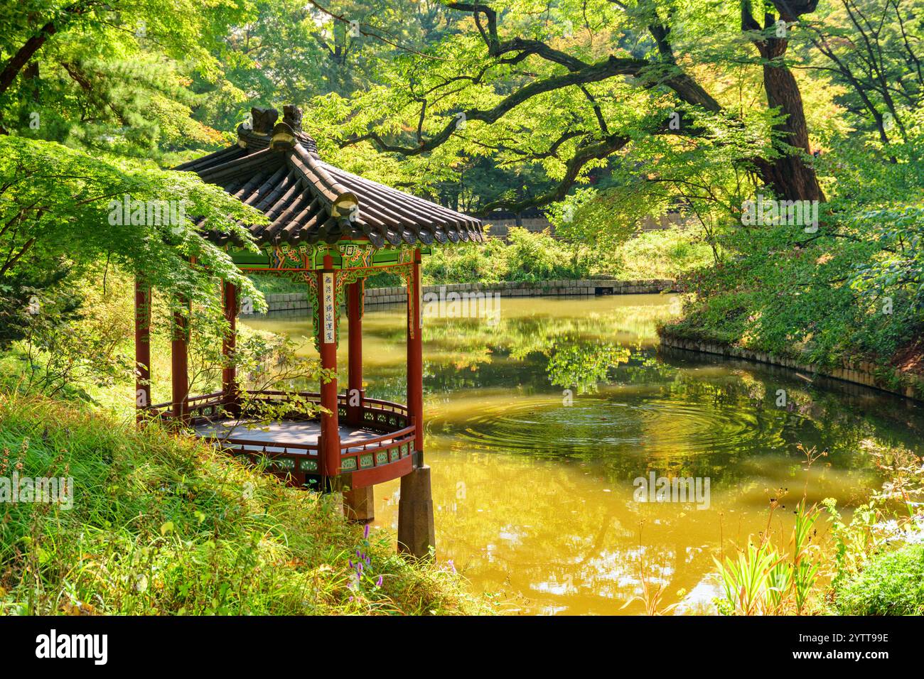 Fabulous view of colorful pavilion in Huwon Secret Garden, Seoul Stock ...