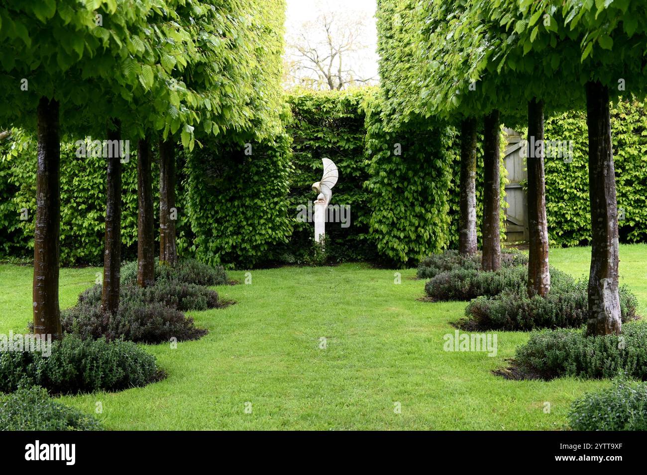 Wyken vineyard hi-res stock photography and images - Alamy