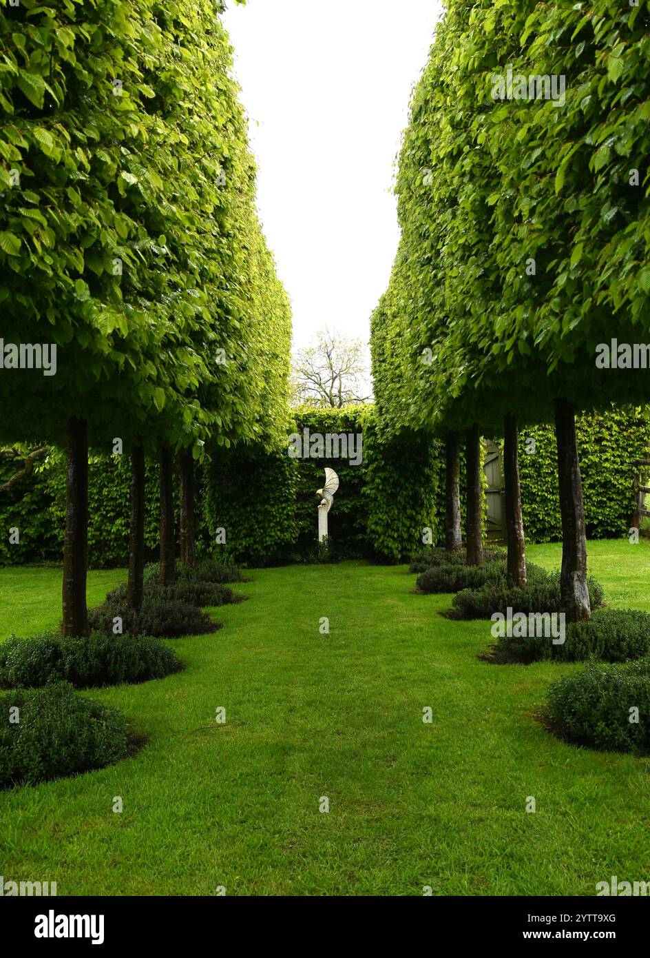 Wyken vineyards hi-res stock photography and images - Alamy