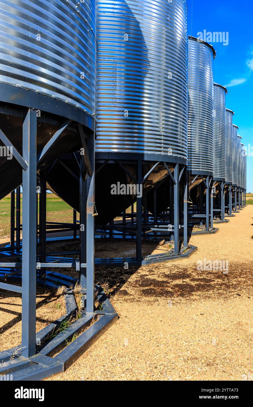 A row of large metal tanks are lined up in a field. The tanks are empty ...