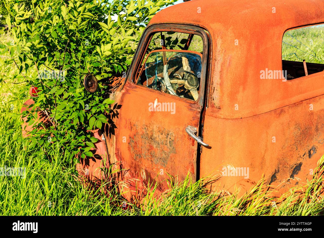 An old rusty truck is sitting in a field of grass. The truck is covered ...