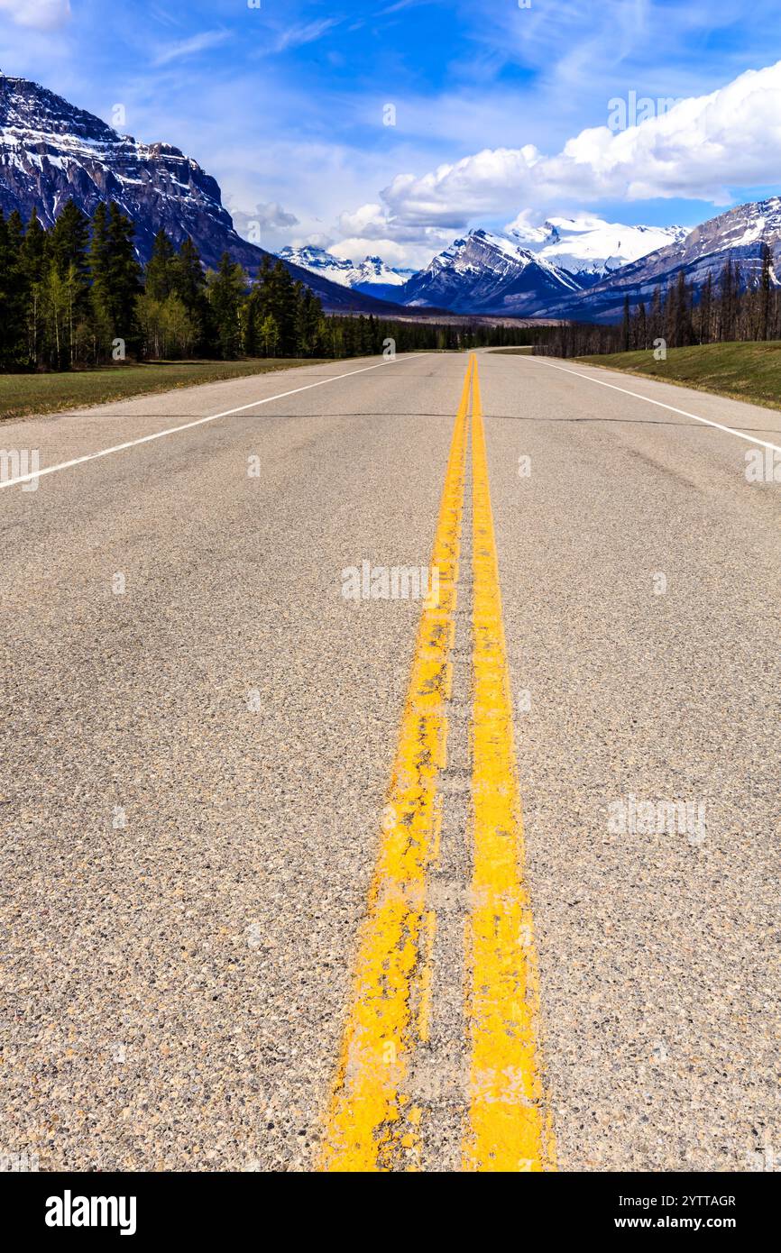 A road with a yellow line down the middle. The road is empty and the ...