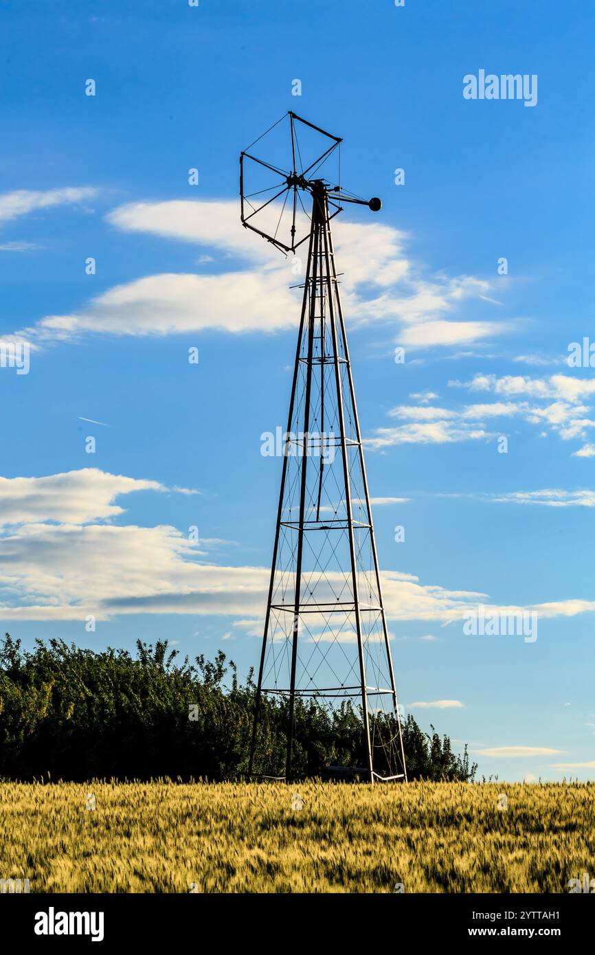 A tall windmill stands in a field of tall grass. The sky is clear and blue, with a few clouds ...