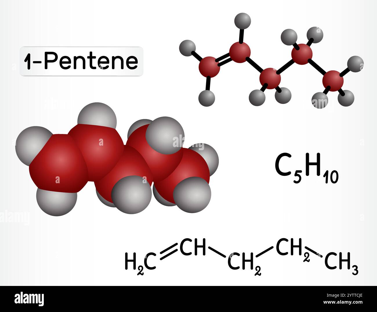 1-Pentene alkene molecule. Structural and molecular models of Pentylene C5H10. Vector ...