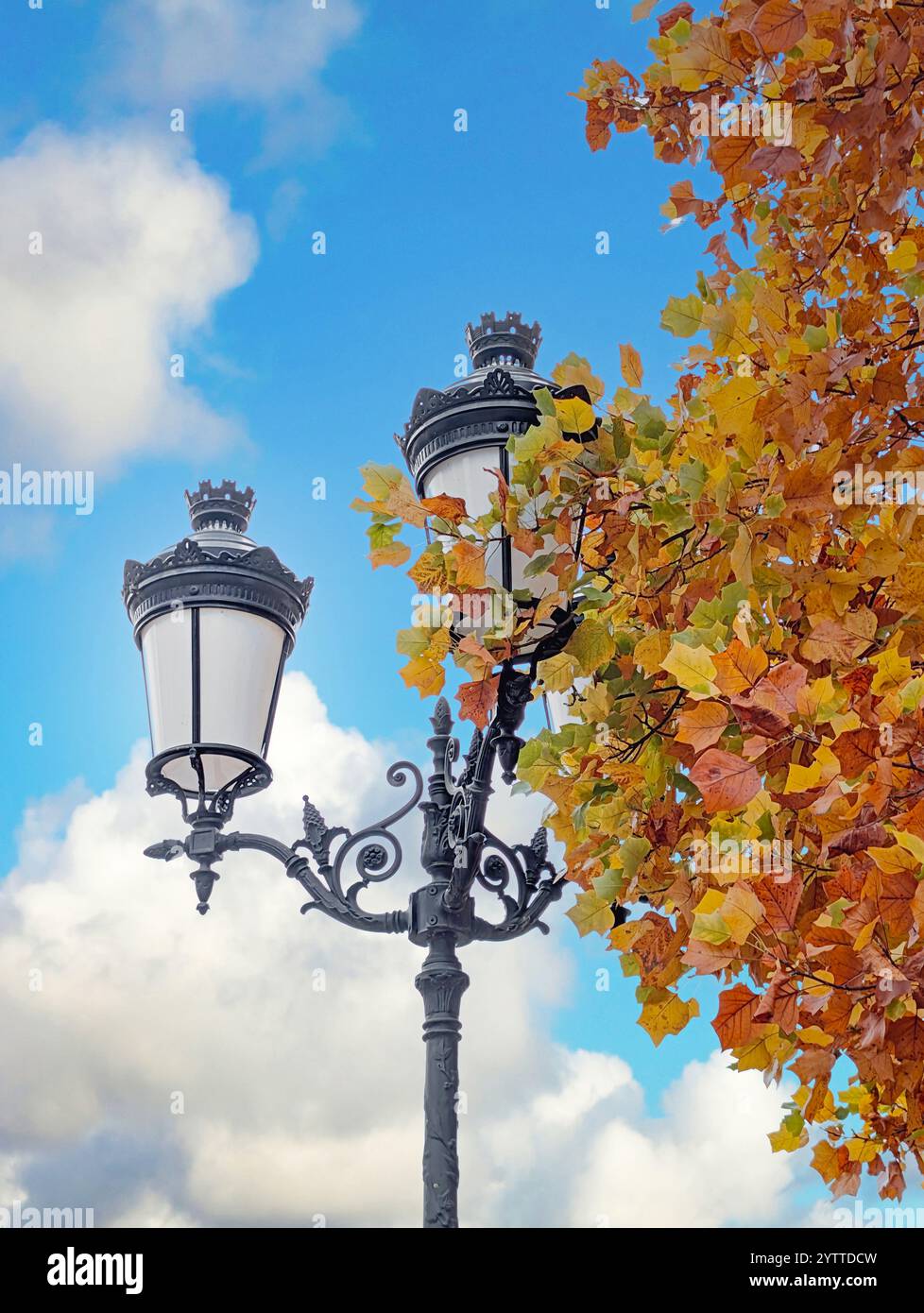 old iron street lamps with autumn leaves and blue sky with a few clouds ...