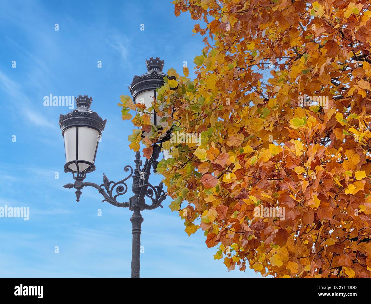 old iron street lamps with autumn leaves and blue sky with a few clouds ...