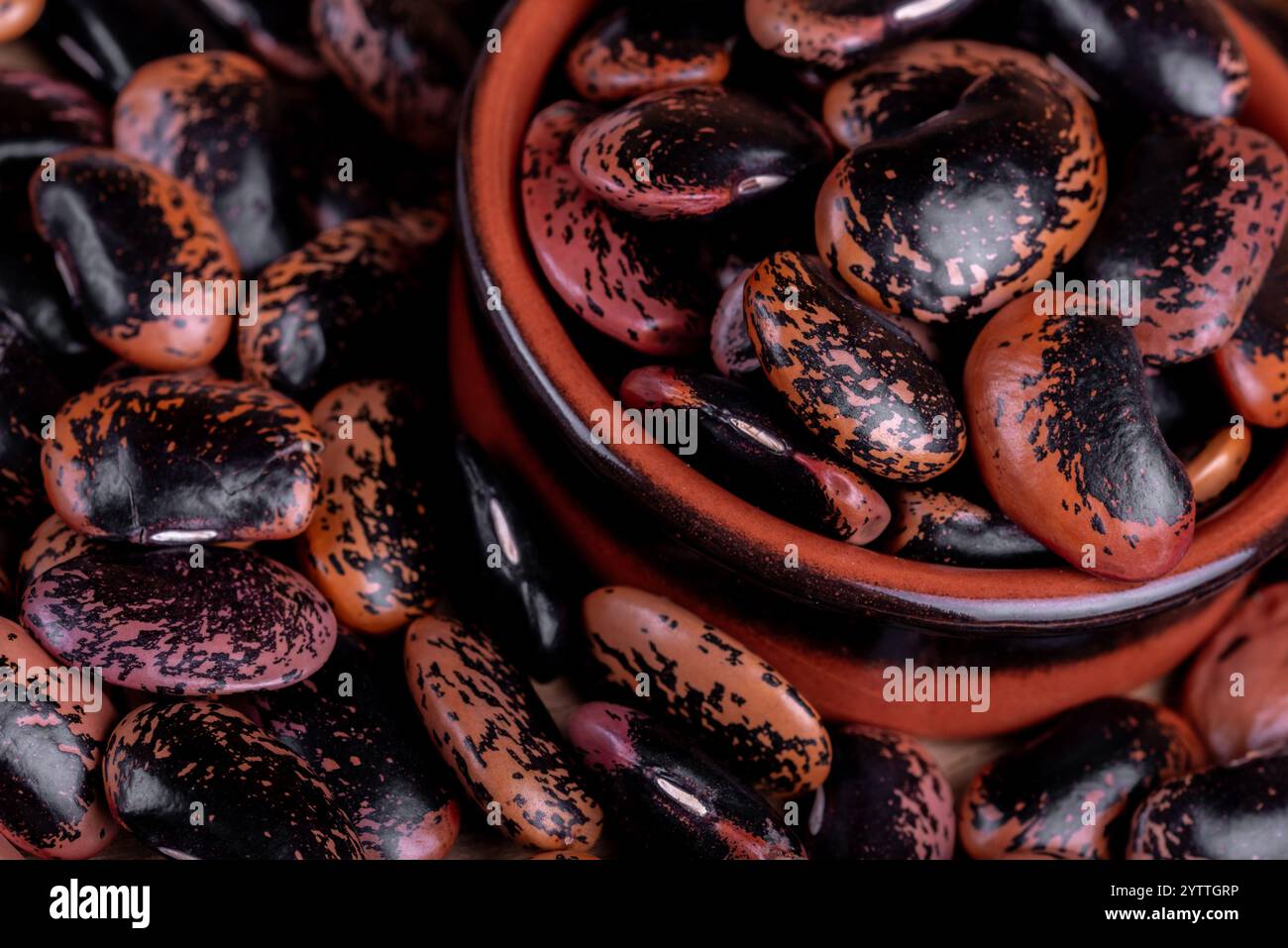 Phaseolus coccineus, known as runner bean, scarlet runner bean, or ...