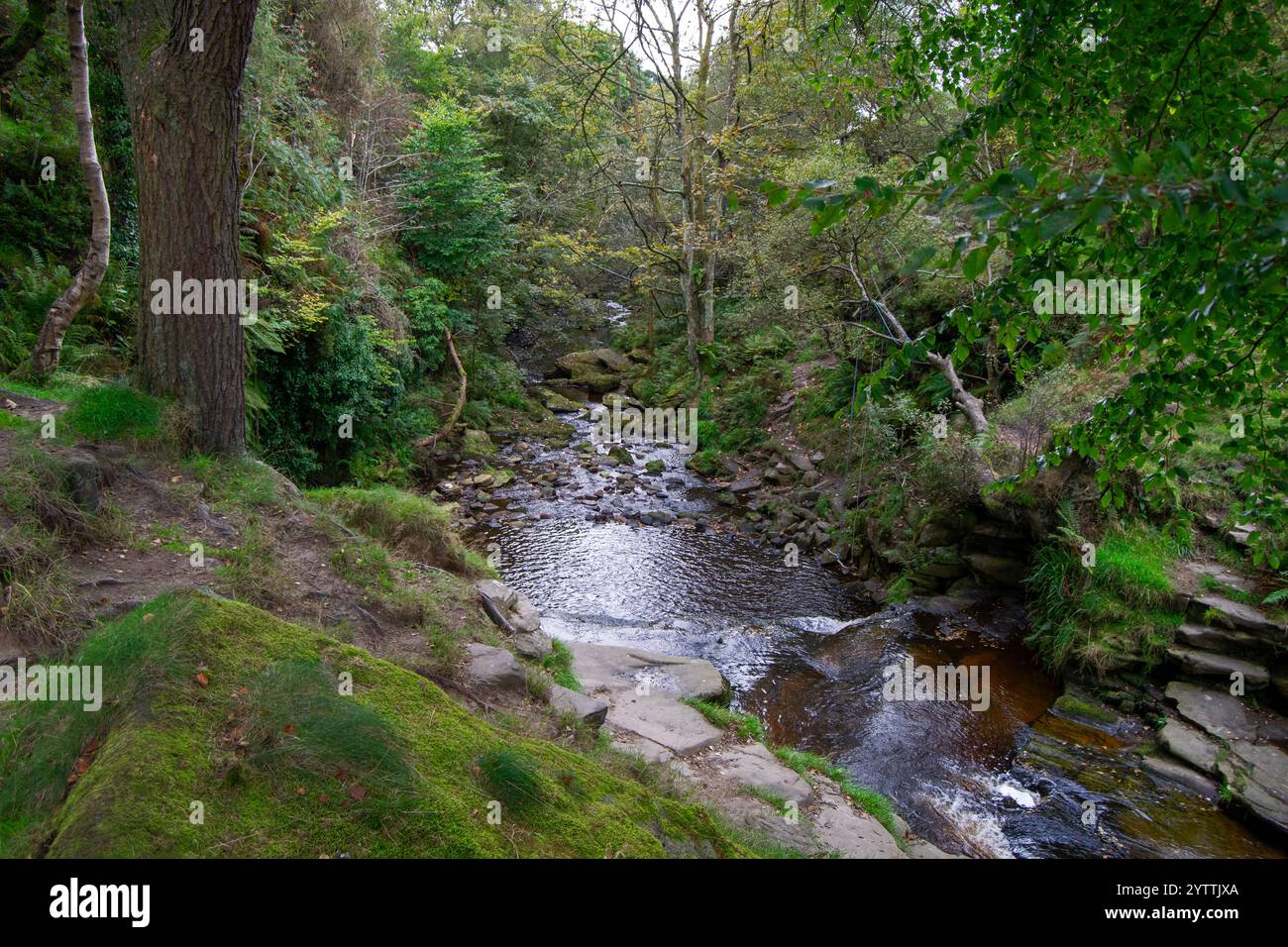 Lumb beck hi-res stock photography and images - Alamy