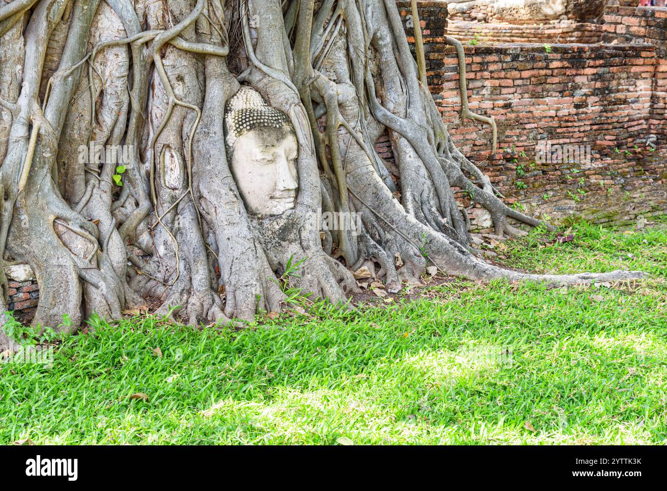 Ayutthaya buddha face hi-res stock photography and images - Alamy