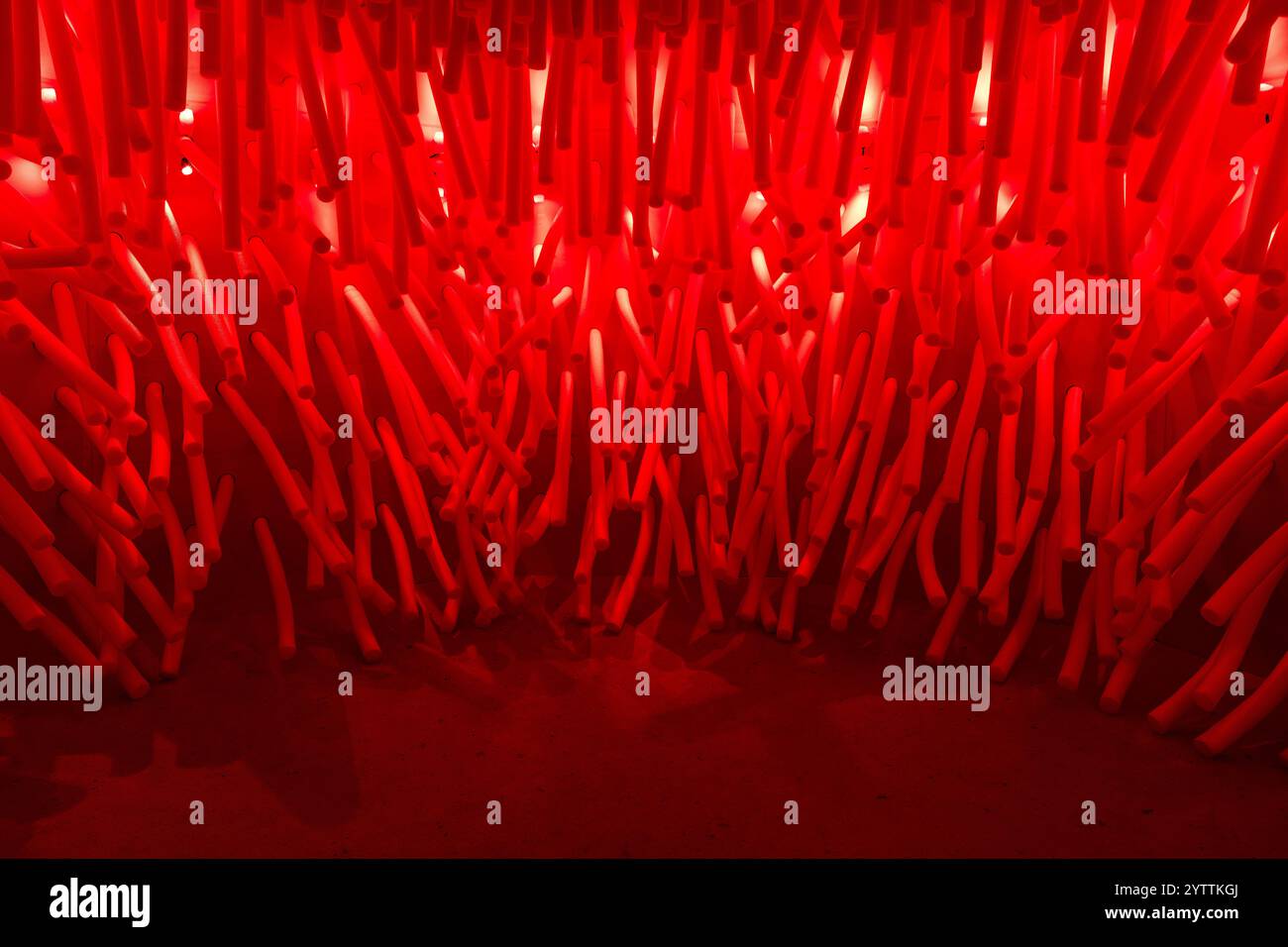 An Abstract Red Texture Featuring Striking and Captivating Light ...