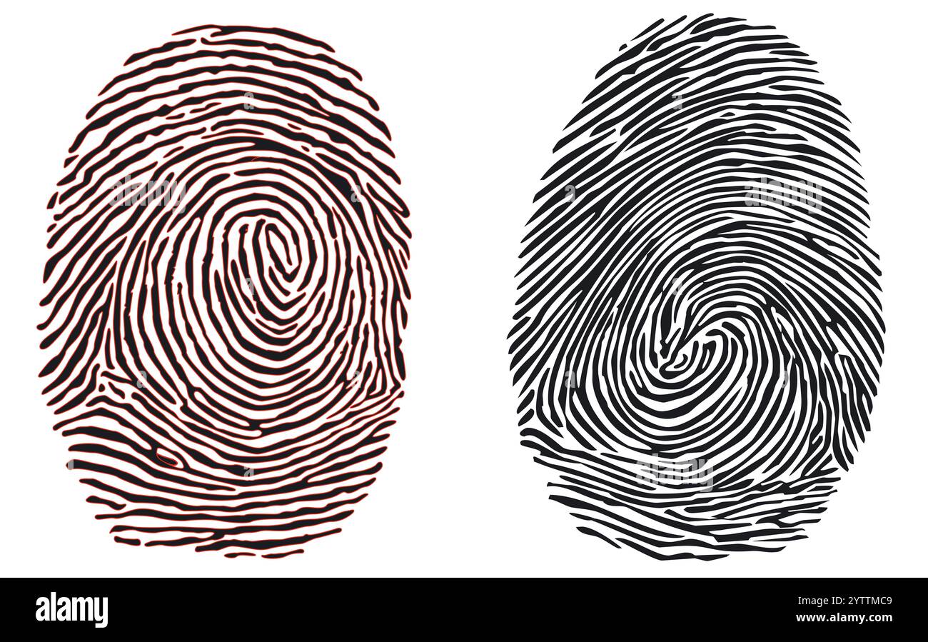 two fingerprints on a white background, illustration isolated Stock ...