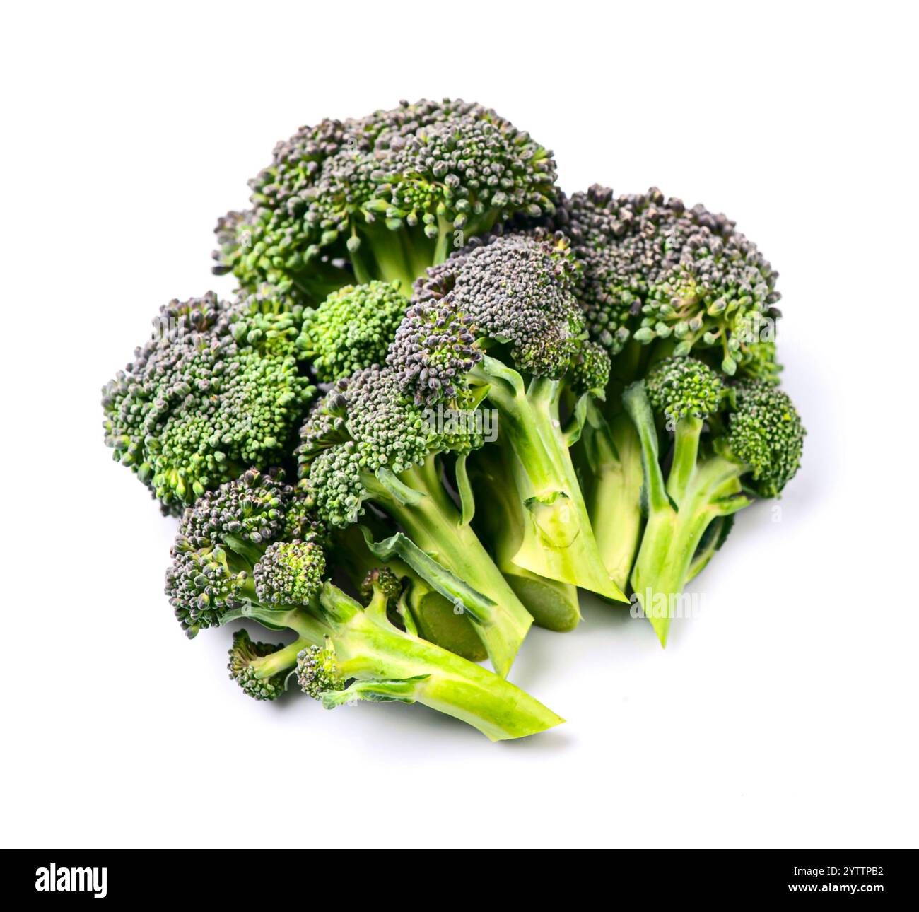 Broccoli pieces on white backgrounds Stock Photo - Alamy