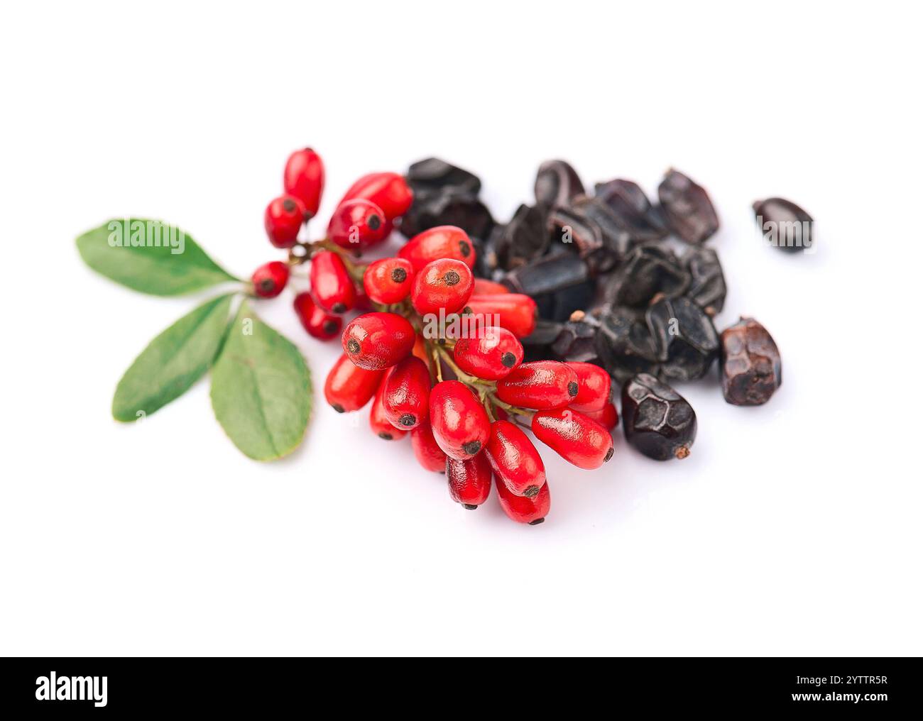 Sweet twig barberry and dry barberry on white backgrounds Stock Photo ...