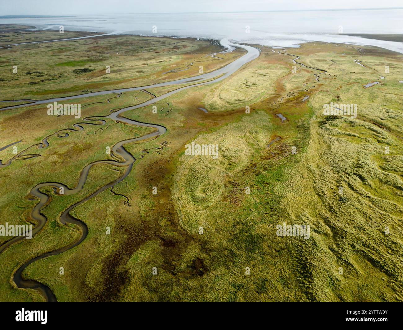 Aerial view of the inlets and streams of the Boschplaat, Terschelling ...