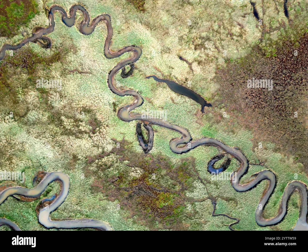 Aerial view of the inlets and streams of the Boschplaat, Terschelling ...
