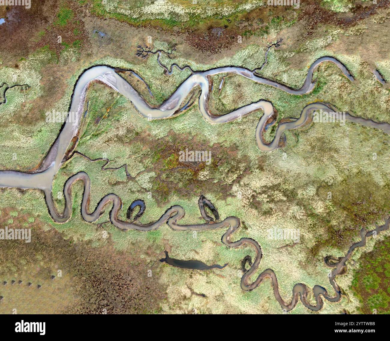 Aerial view of the inlets and streams of the Boschplaat, Terschelling ...