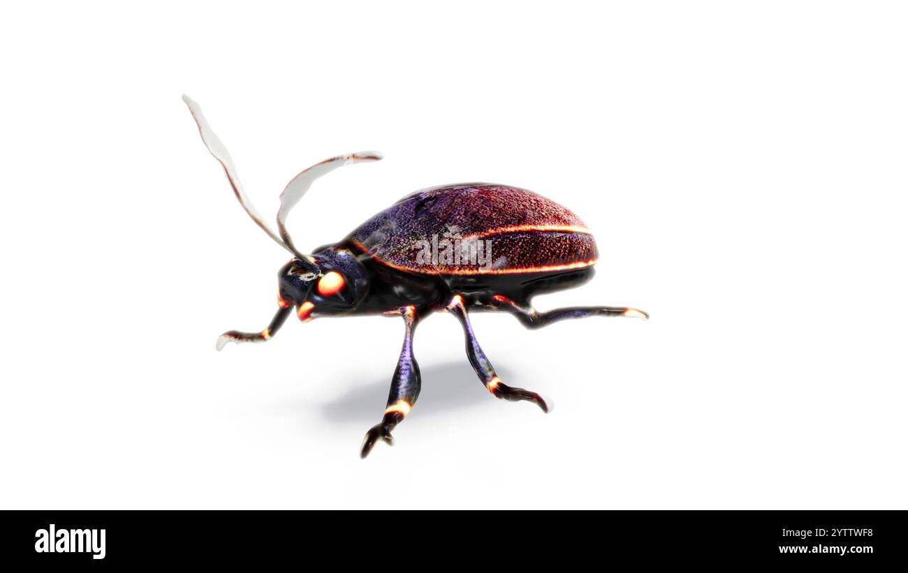 Bug isolated on white bg 3d render Stock Photo - Alamy