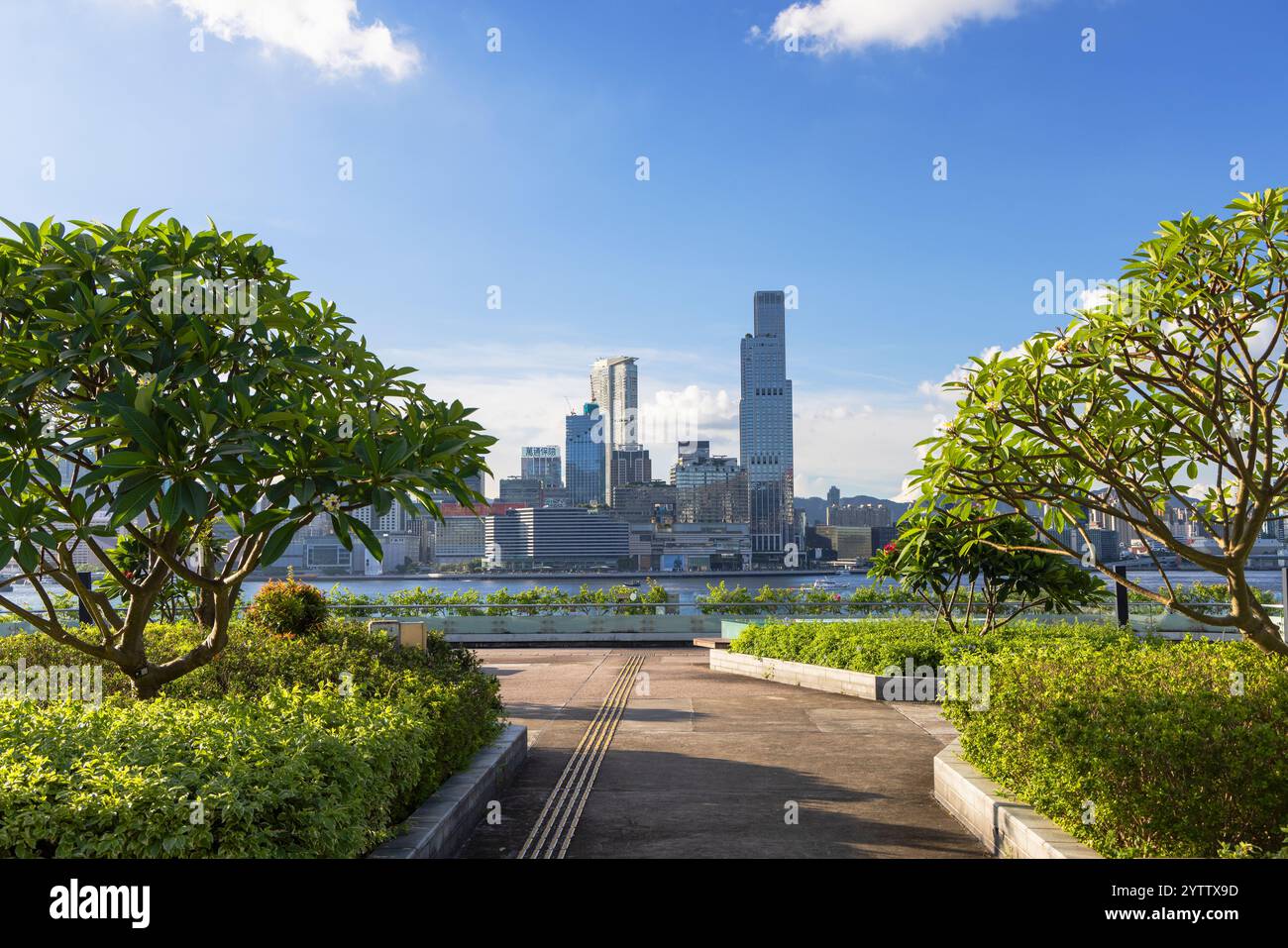 Skyline of Tsim Sha Tsui from rooftop of Wan Chai Pier, Hong Kong Stock ...