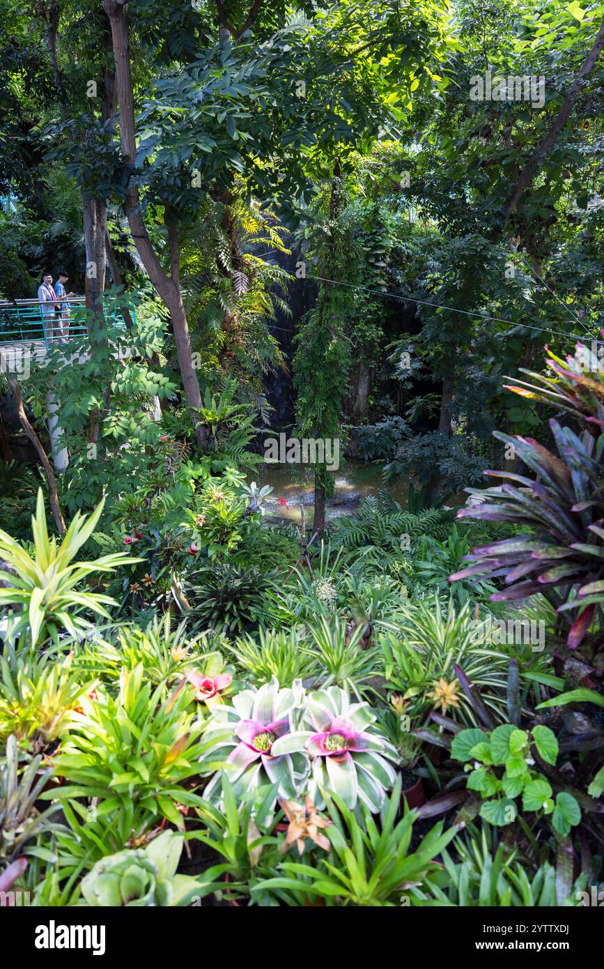 Botanical Garden of National Museum of National Science, Taichung ...