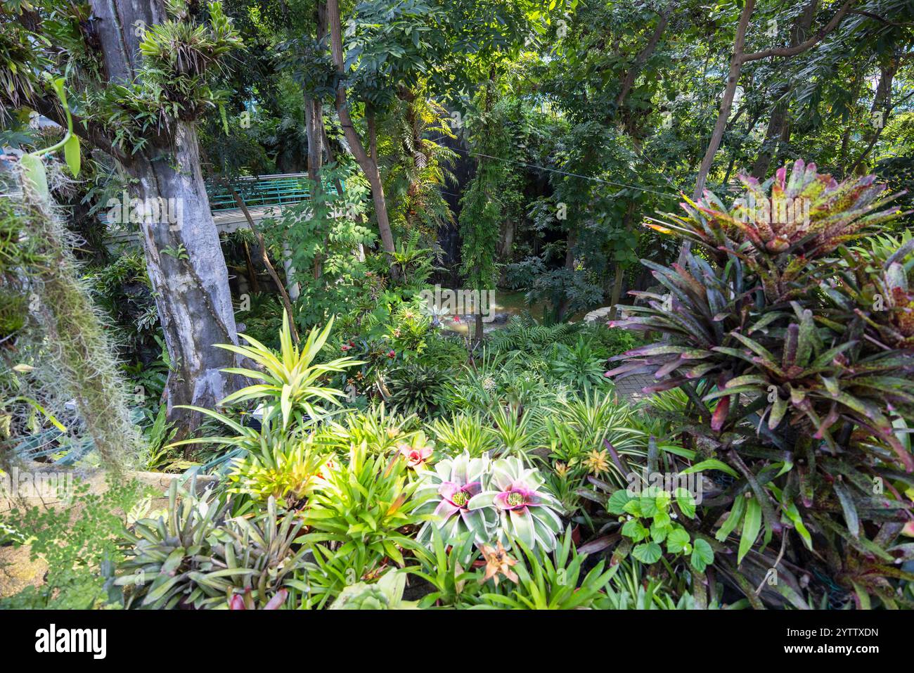 Botanical Garden of National Museum of National Science, Taichung ...