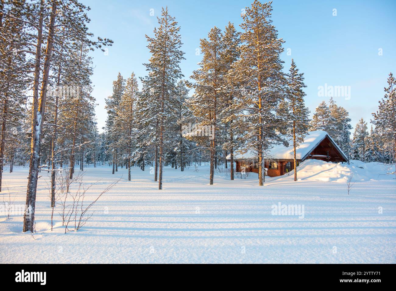 Finnish Lapland in winter. Sunny day in snowy forest. Lots of snow on ...
