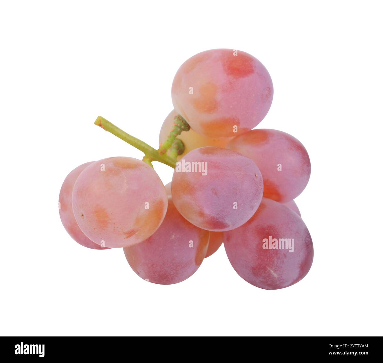 Grape isolated on white background Stock Photo - Alamy