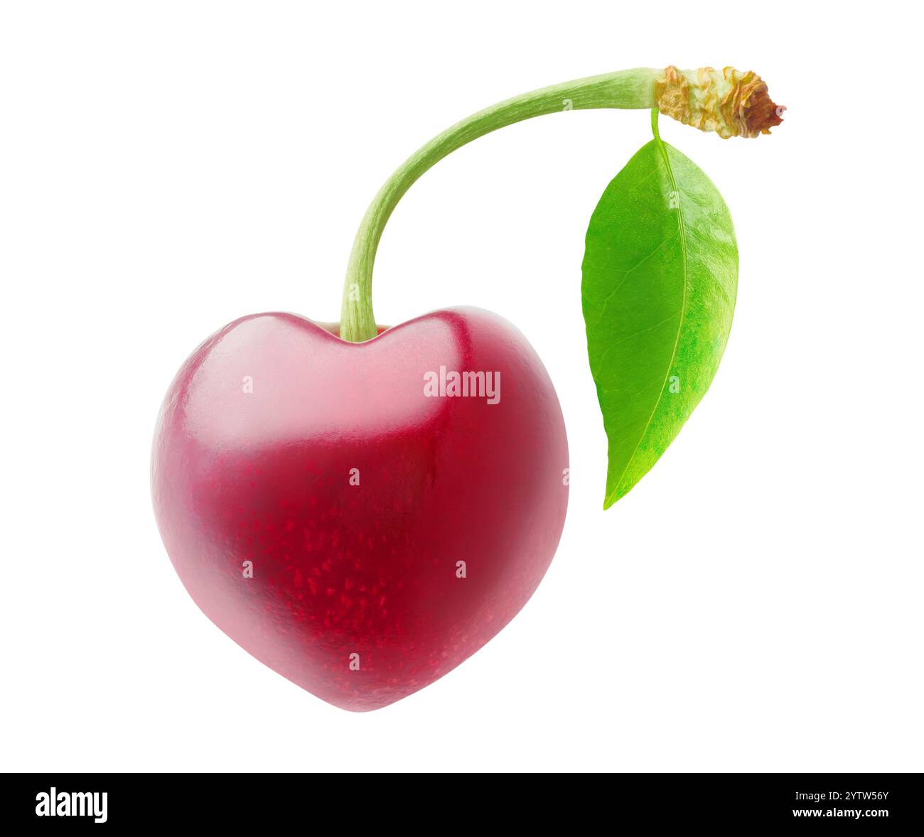 Cherry with stem hi-res stock photography and images - Alamy