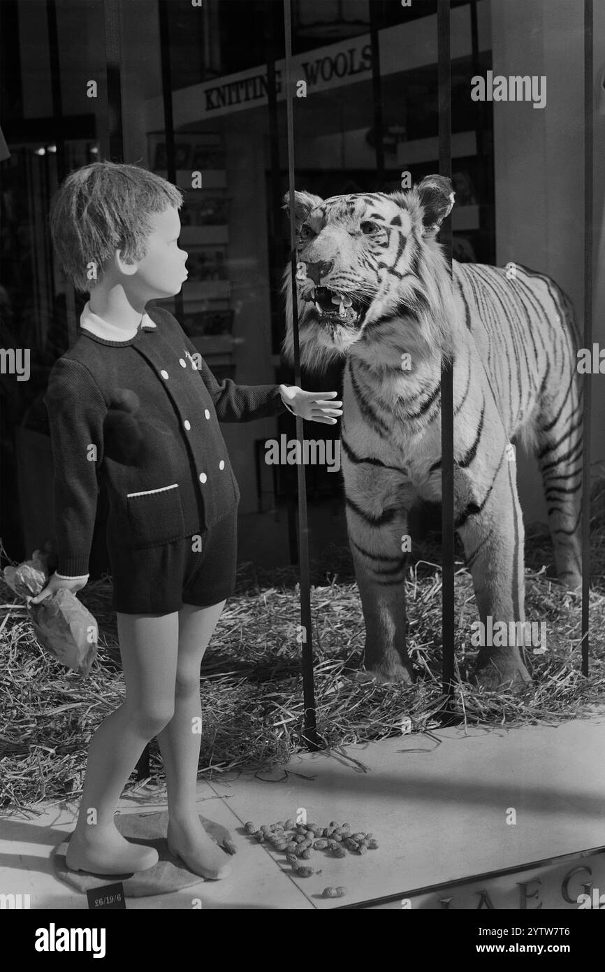 Window display with boy and tiger, Jaeger,Central London 1960's Stock ...