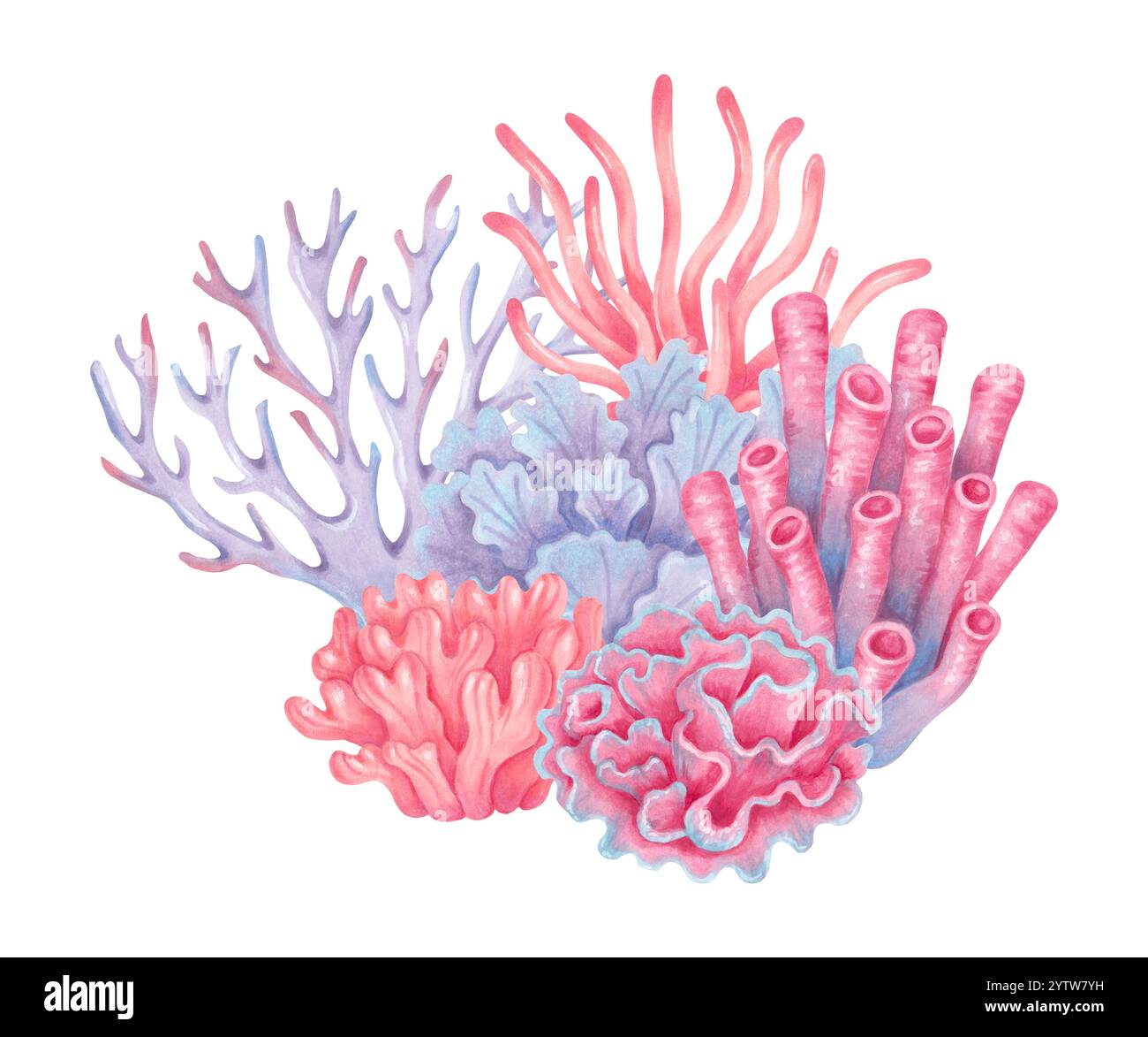 Coral reefs scenery Cut Out Stock Images & Pictures - Alamy