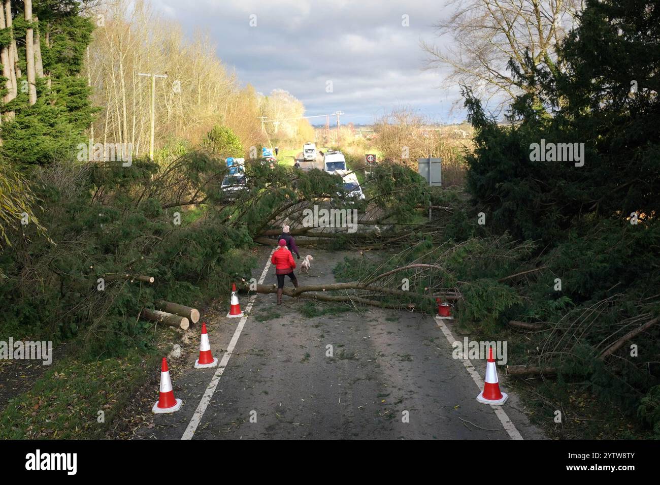 Fallen trees are cleared from a road in Swainshill, Herefordshire ...