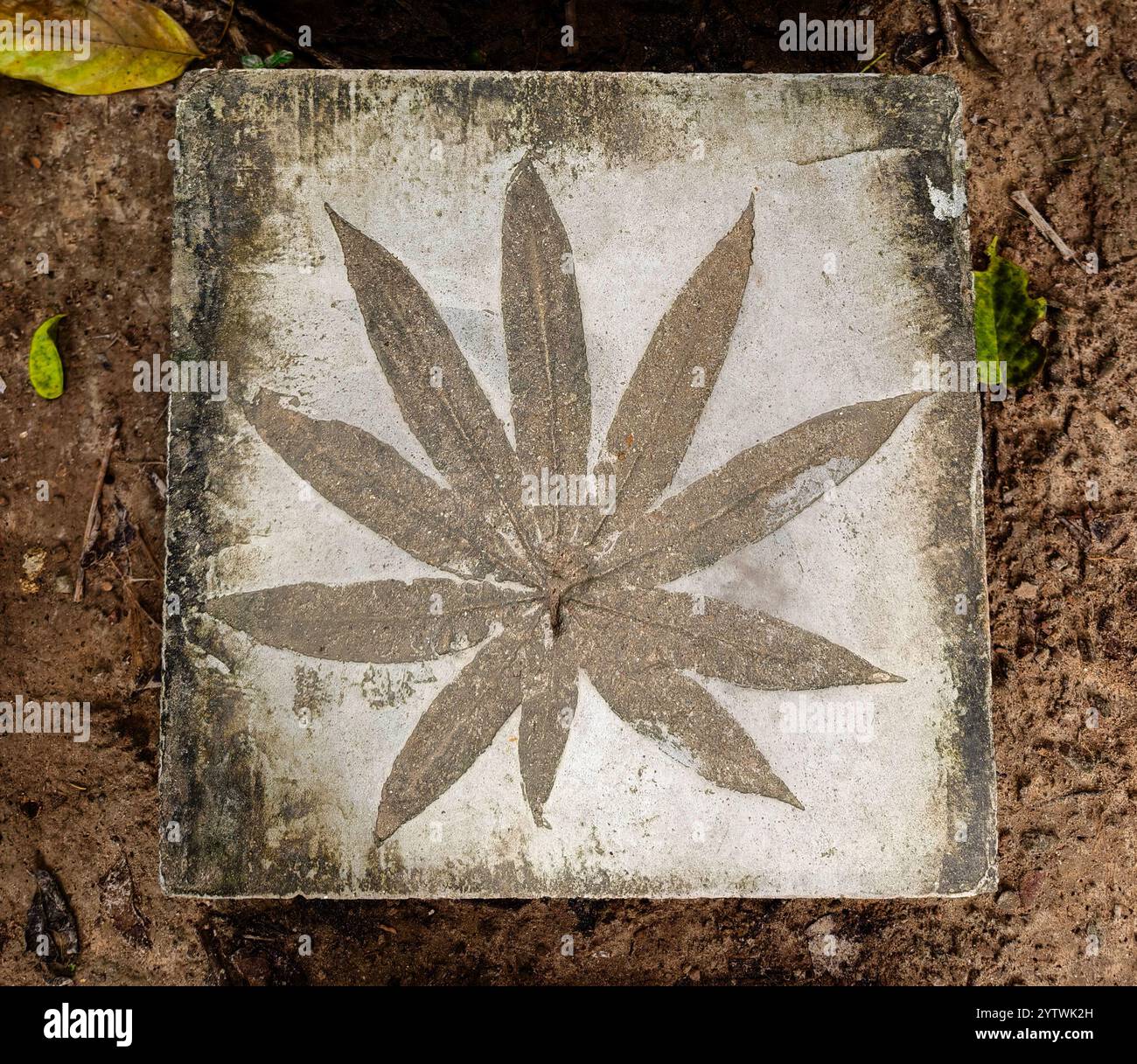 Blend of artistic patterns hi-res stock photography and images - Alamy