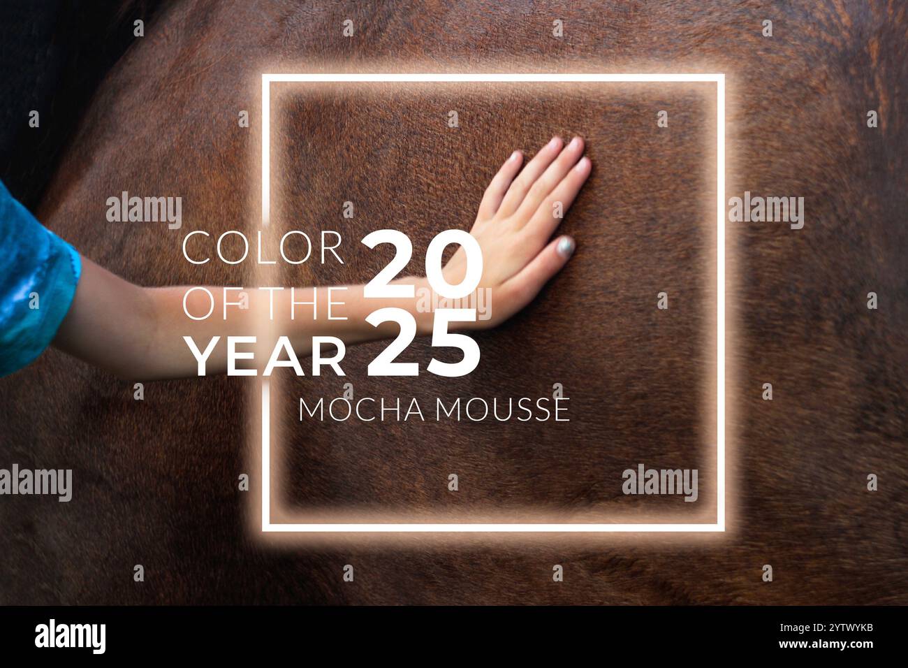 A hand gently resting on a horse, with a warm, soothing color palette ...