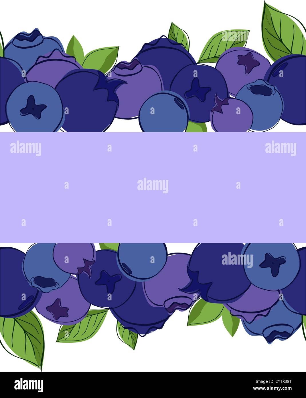 Blue and violet blueberry. Seamless border frame. Vector Banner graphic ...