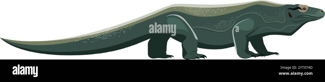 Komodo dragon, or komodo monitor, a large lizard species from indonesia ...