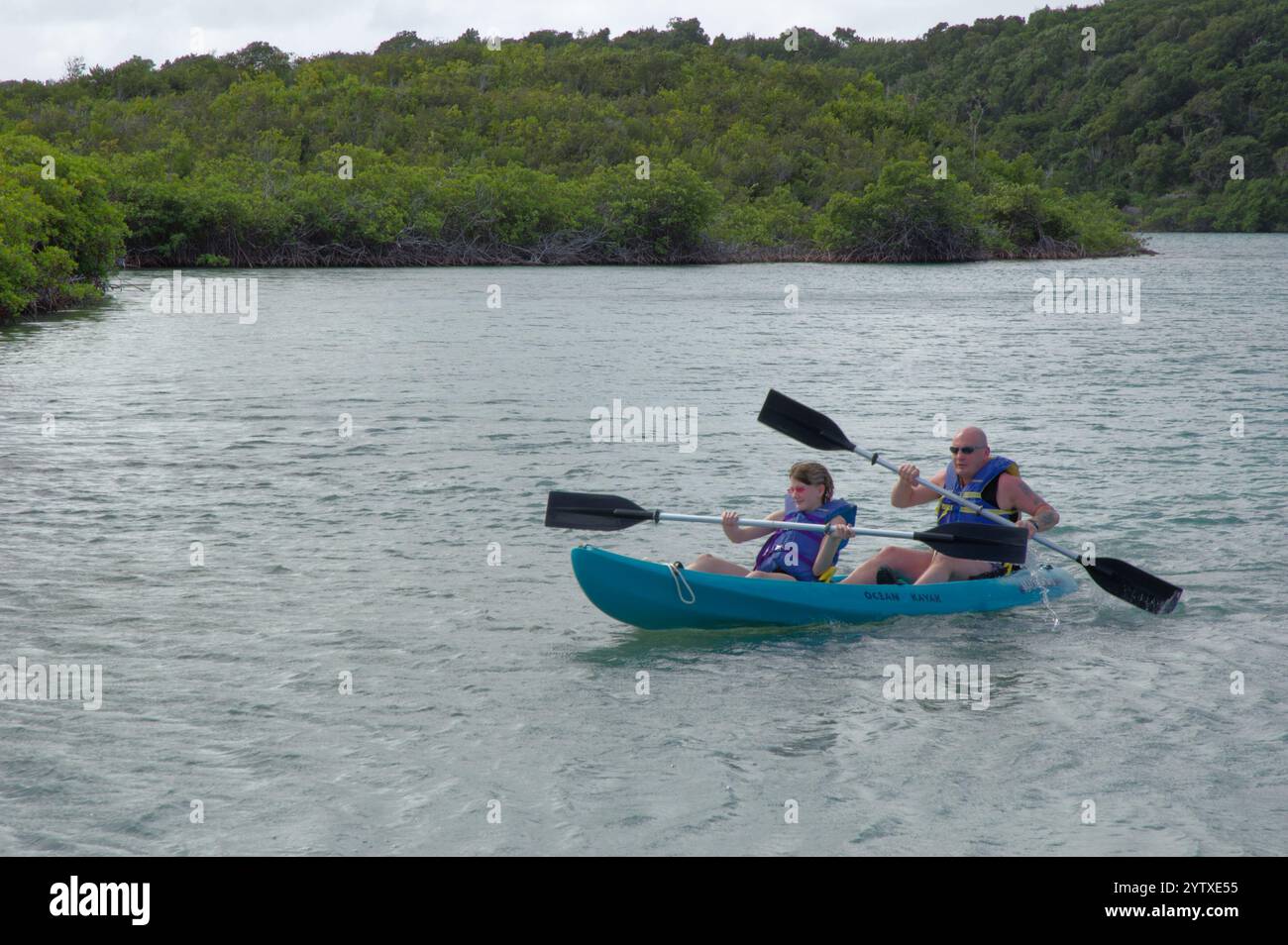 Kayak safari in Antigua Stock Photo - Alamy