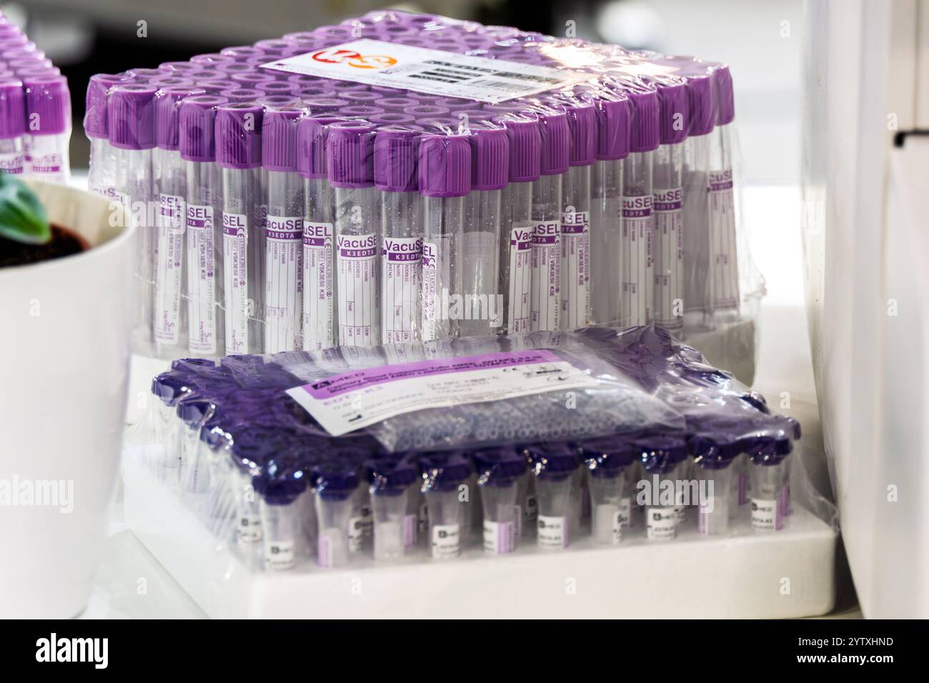 Vacuum blood collection tubes with purple caps to preserve blood cell ...