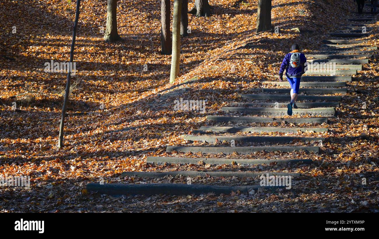 A man walking up the steps in the forest in autumn Stock Photo - Alamy