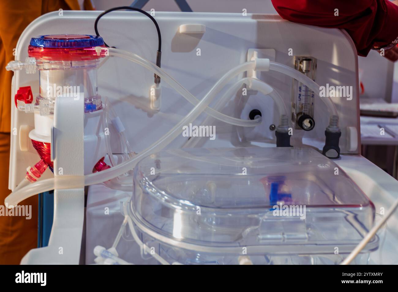 Device for normothermic perfusion of a donor kidney Stock Photo - Alamy