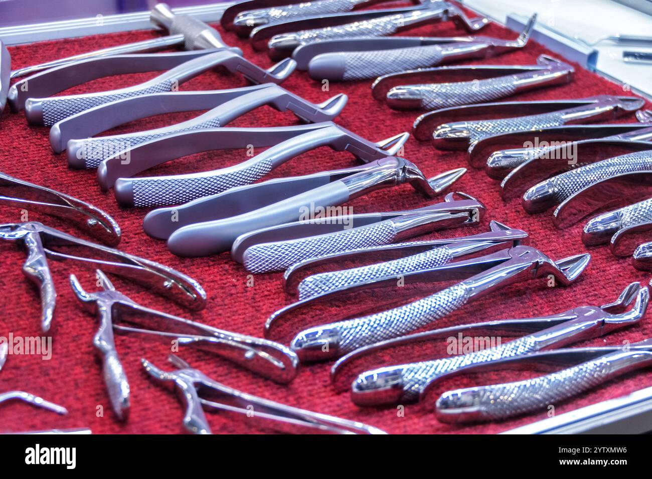 Fine surgical hi-res stock photography and images - Alamy