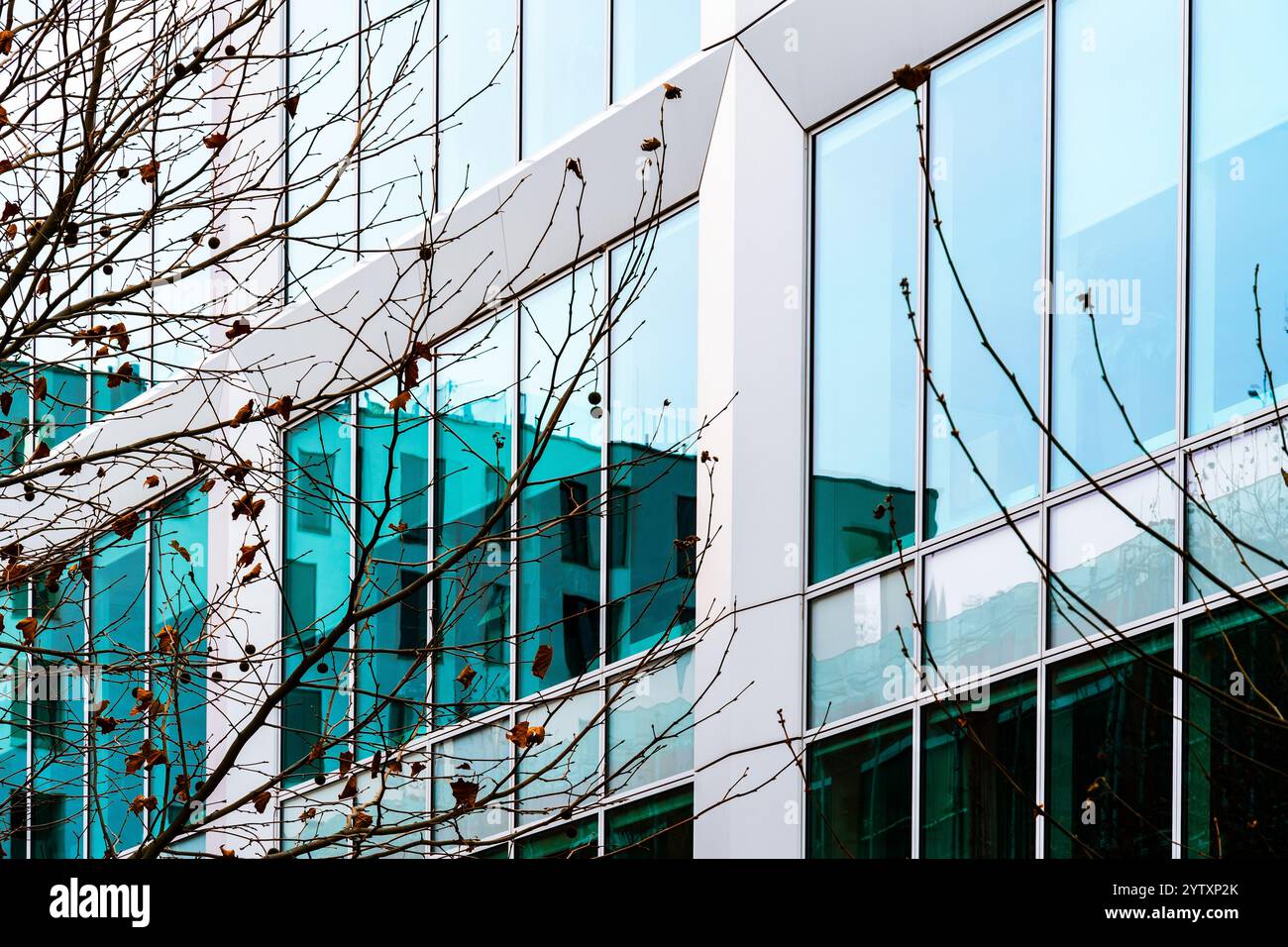 Modern Glass Facade with Reflective Panels and Angular Architectural ...