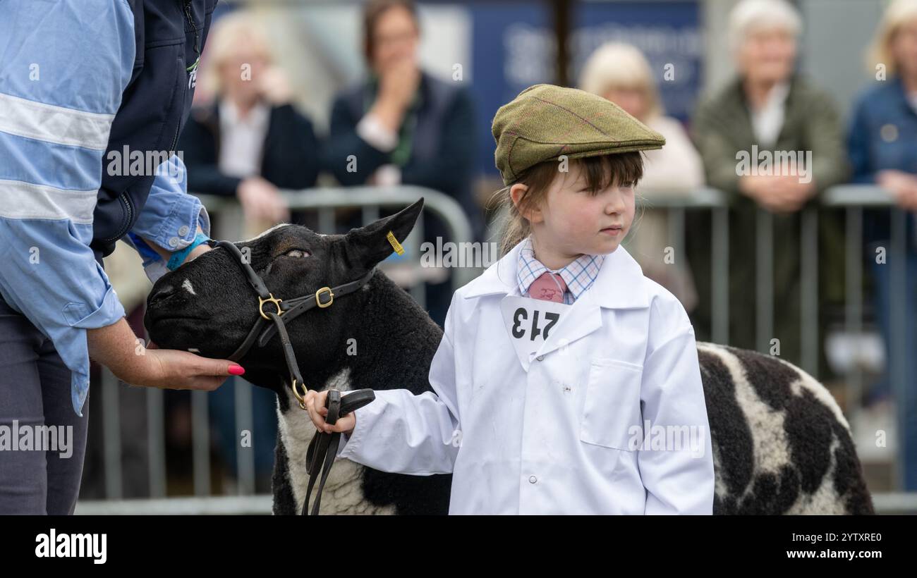 Great Yorkshire Show 2024 Stock Photo - Alamy