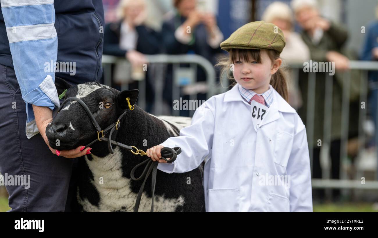 Great Yorkshire Show 2024 Stock Photo - Alamy