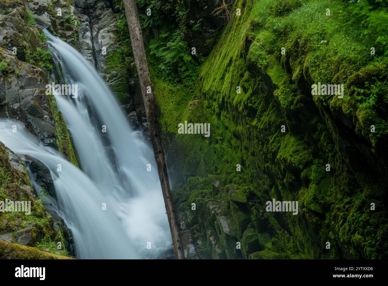 Three Arms of Sol Duc Falls Tumble Over Mossy Cliffs in Olympic ...